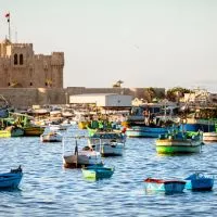 Explore Alexandria - Ask Aladdin