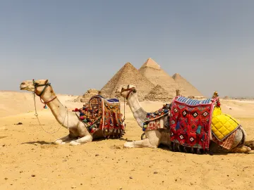 Adventure Tours | Ask Aladdin