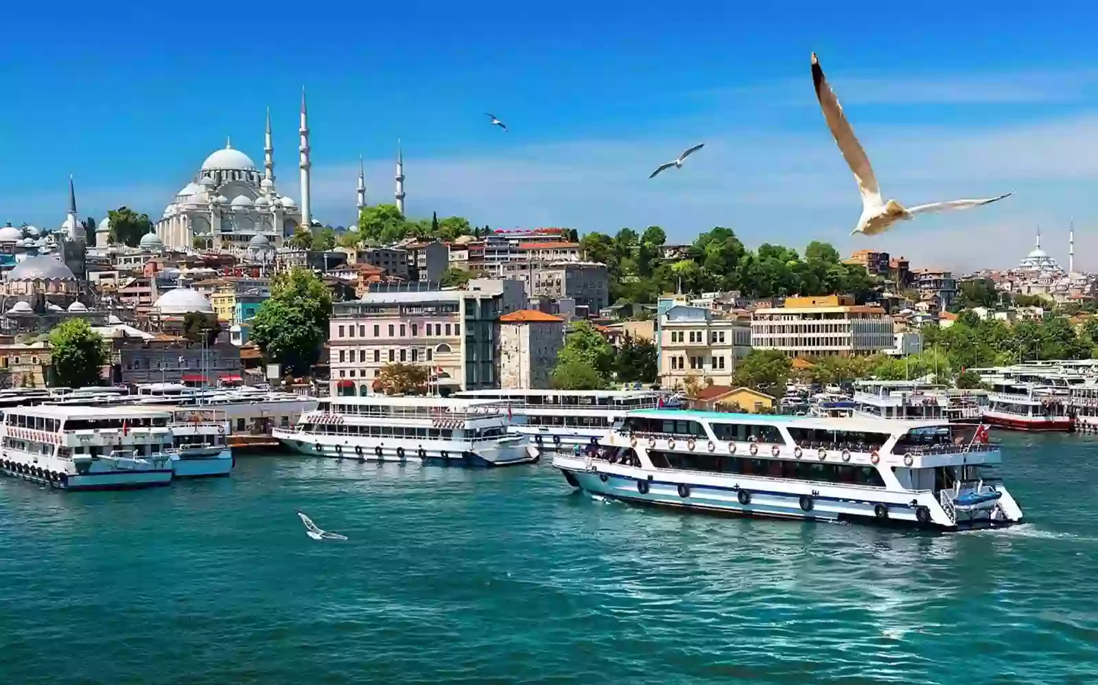 Turkey Bosphorus strait boat tour | Ask Aladdin