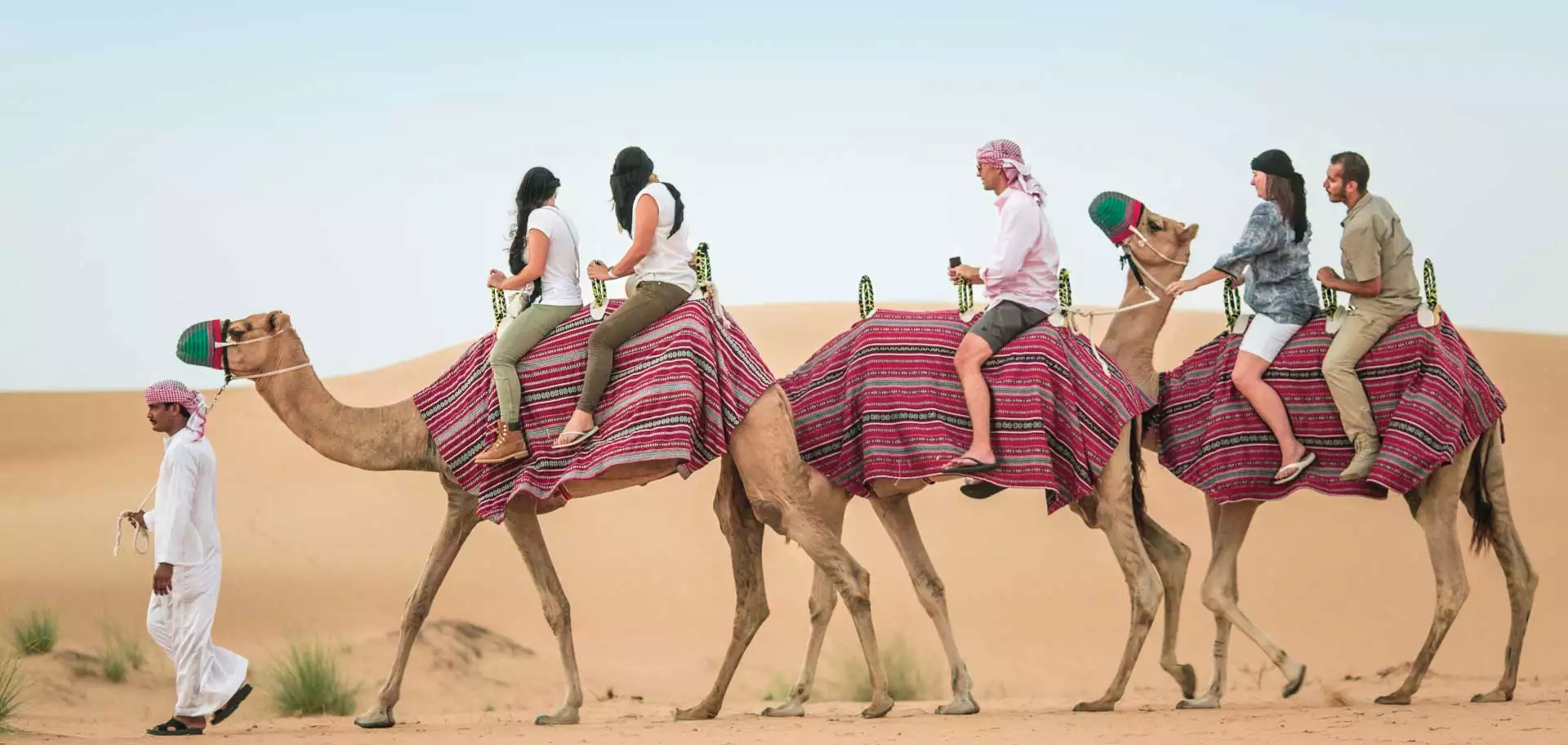 Camel trekking in the UAE Desert | Ask Aladdin
